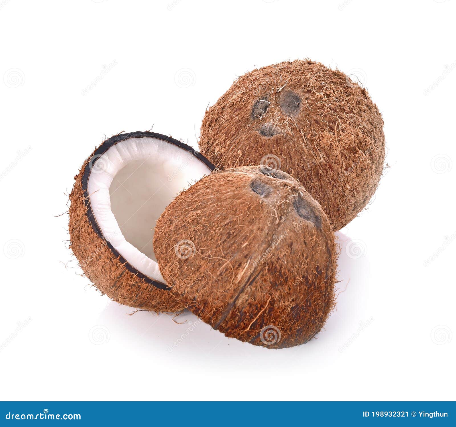 Coconut Shell on White Background Stock Image - Image of green, husk ...