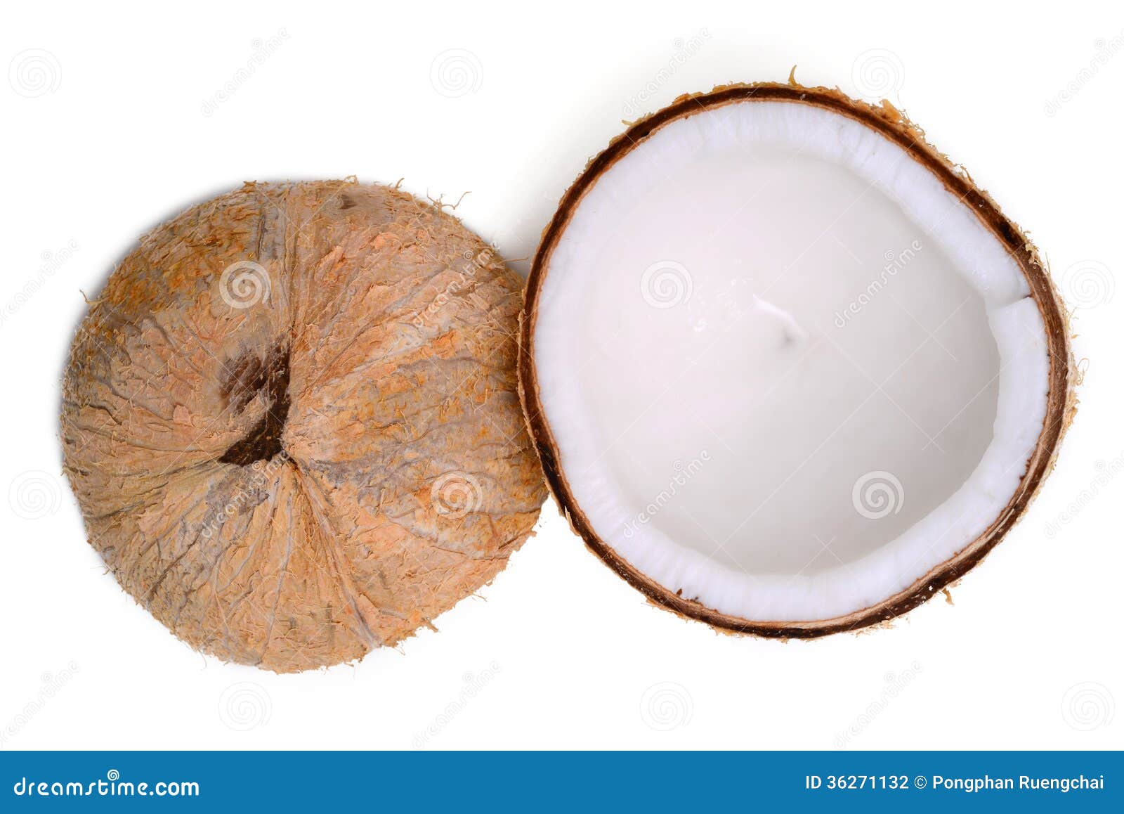 Coconut stock photo. Image of climate, freshness, backgrounds - 36271132