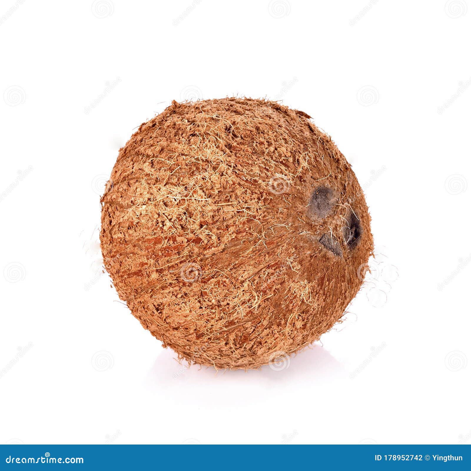 Coconut Shell on White Background Stock Photo - Image of drink, milk ...