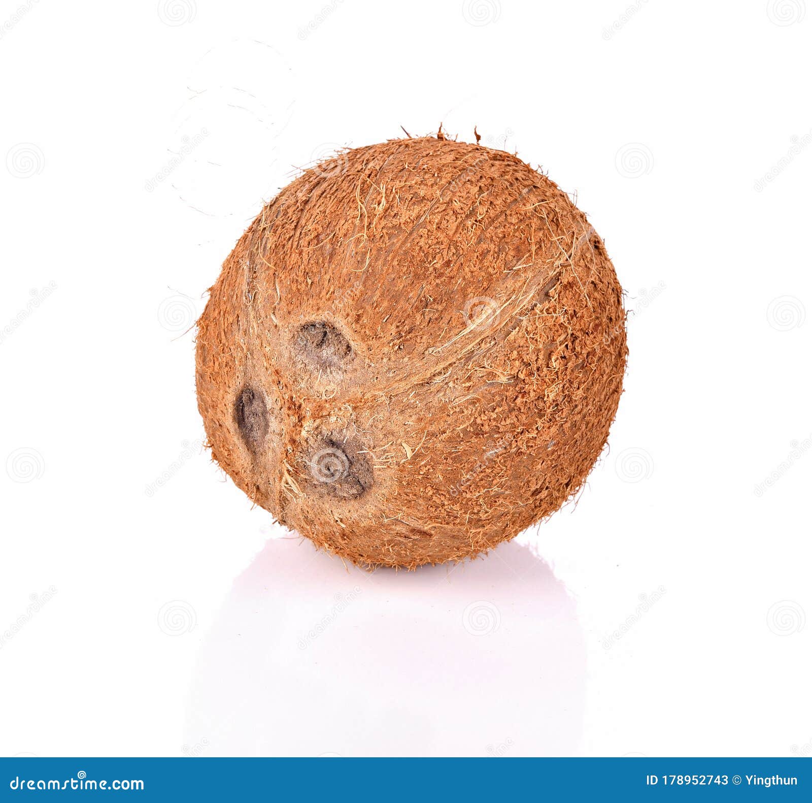 Coconut Shell on White Background Stock Image - Image of food, milk ...