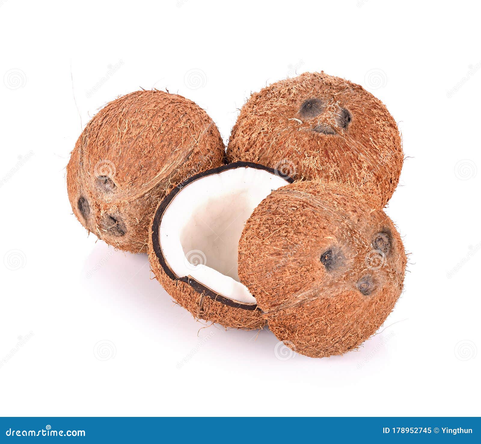 Coconut Shell on White Background Stock Image - Image of background ...