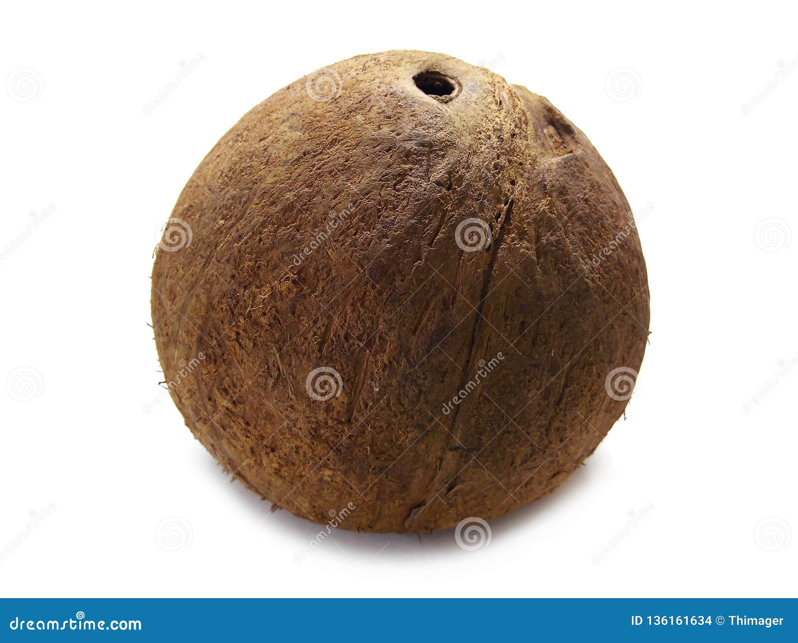Coconut Shell Isolated on White Background. Stock Photo - Image of ...