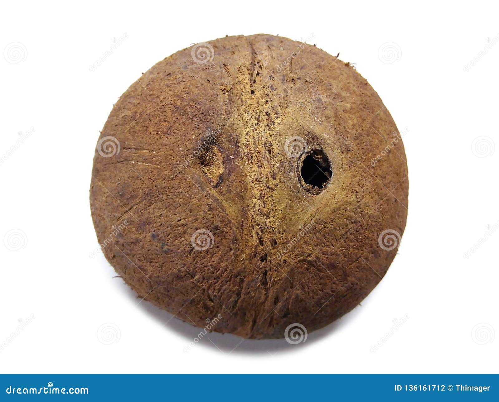 Coconut Shell Isolated on White Background. Stock Photo - Image of ...