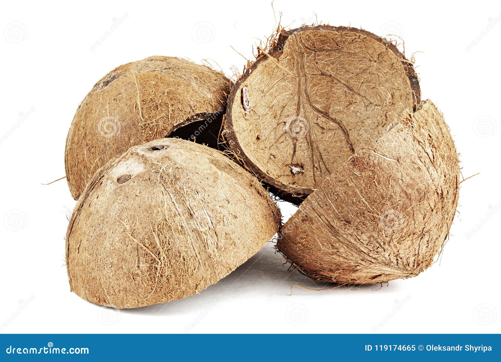 A lot of coconut shell stock image. Image of open, bowl - 119174665