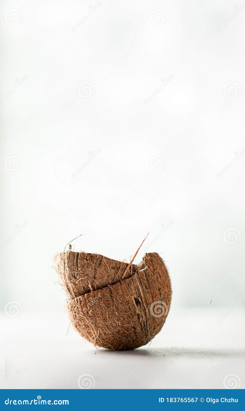 Coconut Shell on a White Background Stock Image - Image of texture ...