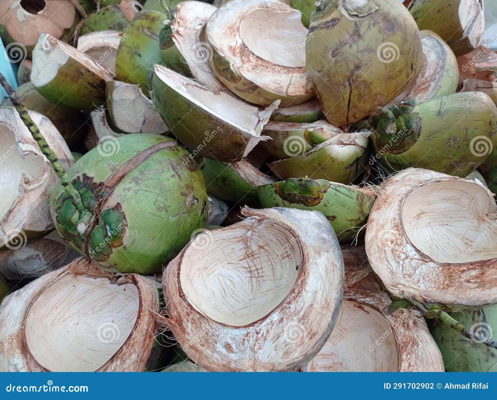 Coconut shell stock photo. Image of fruit, young, dish - 291702902