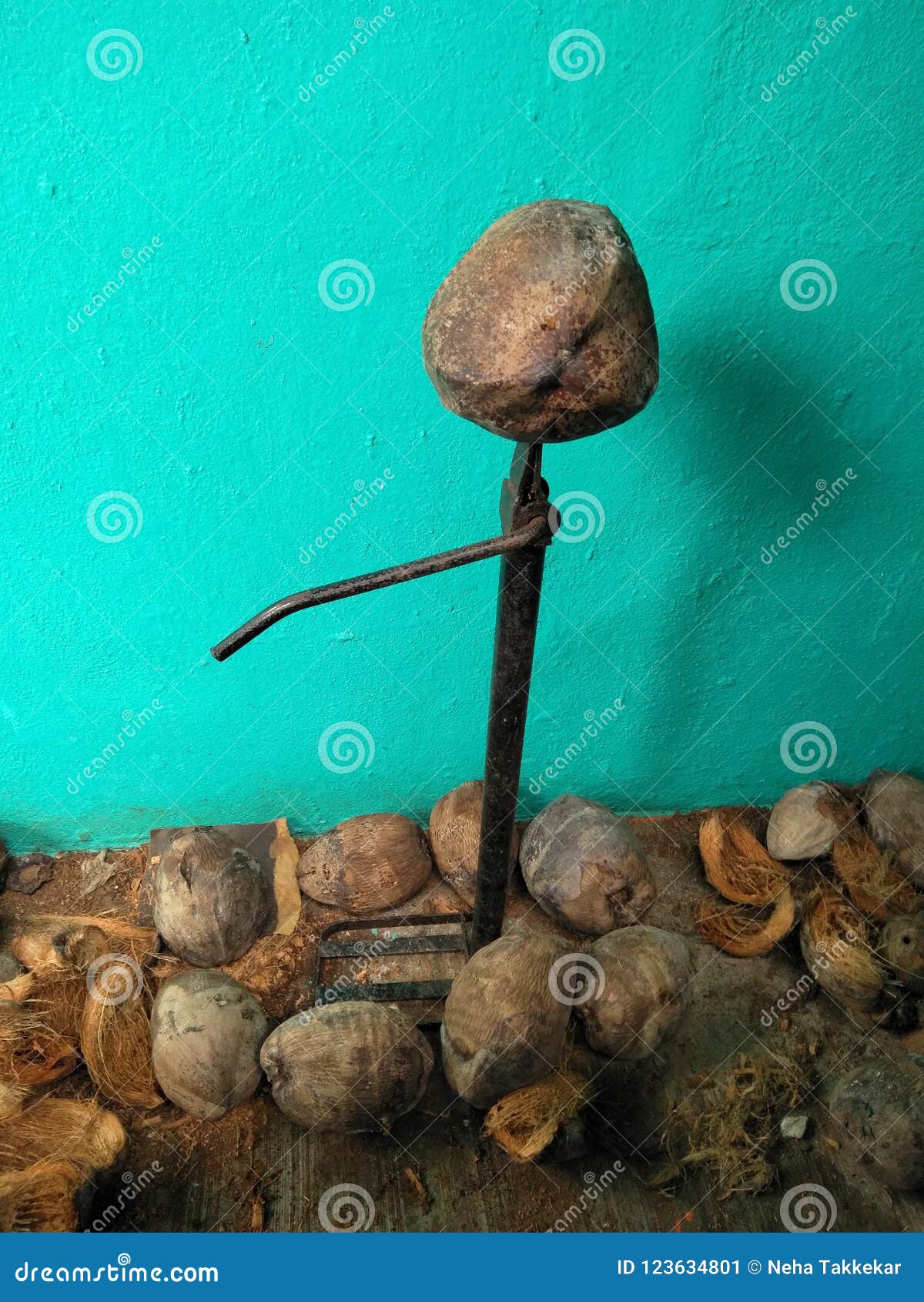 Coconut shelling machine stock image. Image of separated - 123634801