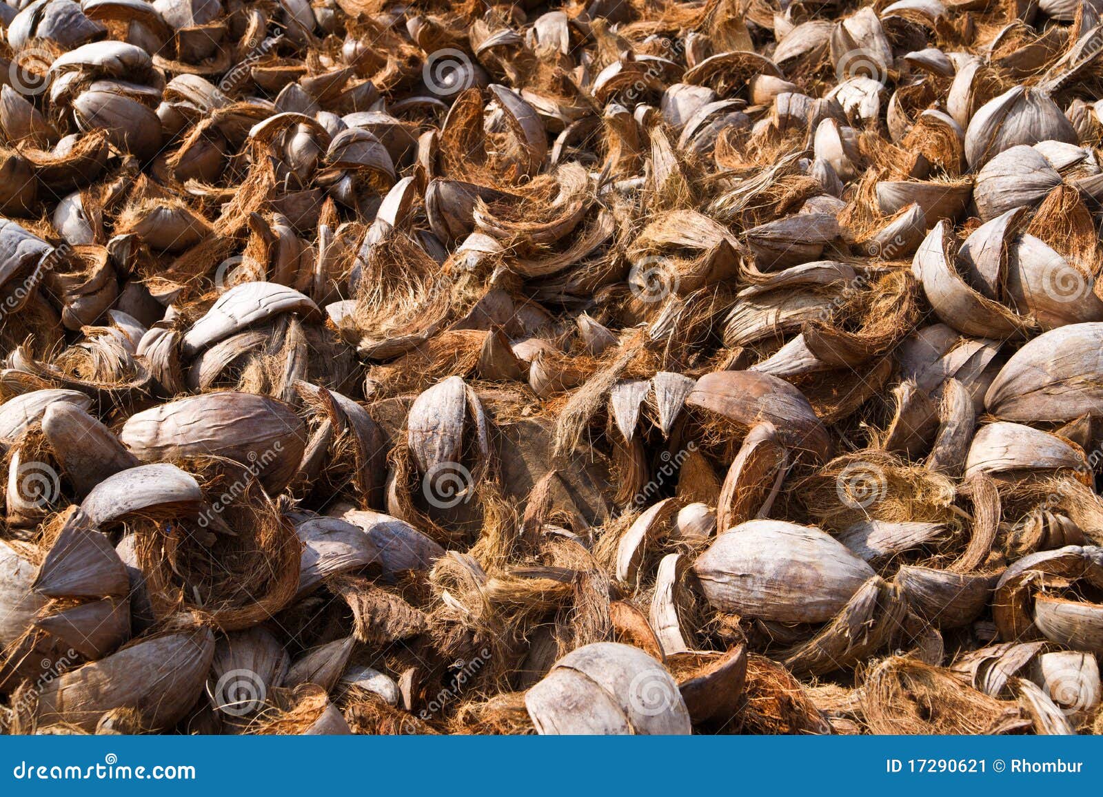 Coconut shells stock image. Image of coconut, thailand - 17290621