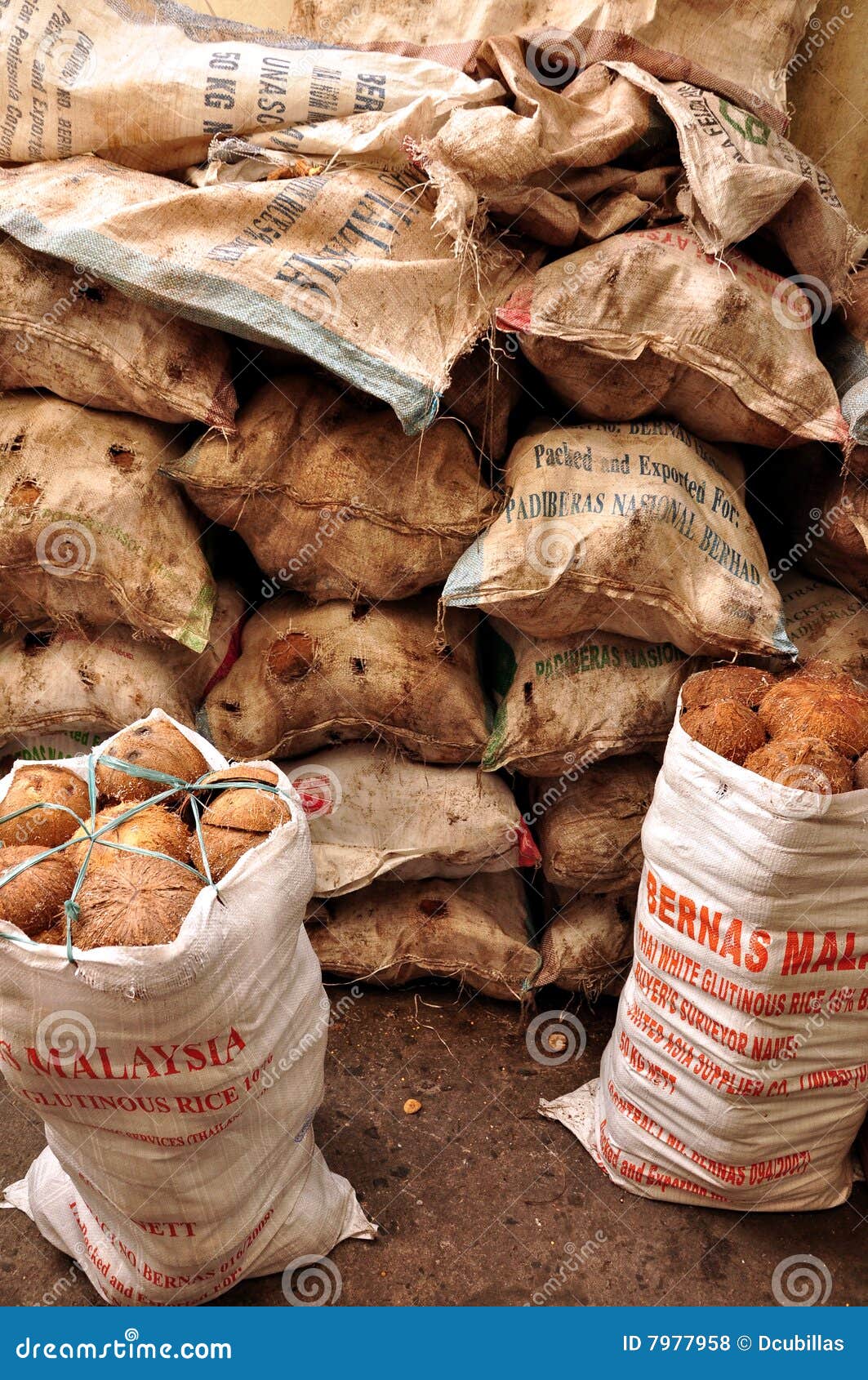 Coconut Shells 2 stock photo. Image of coconuts, asia - 7977958