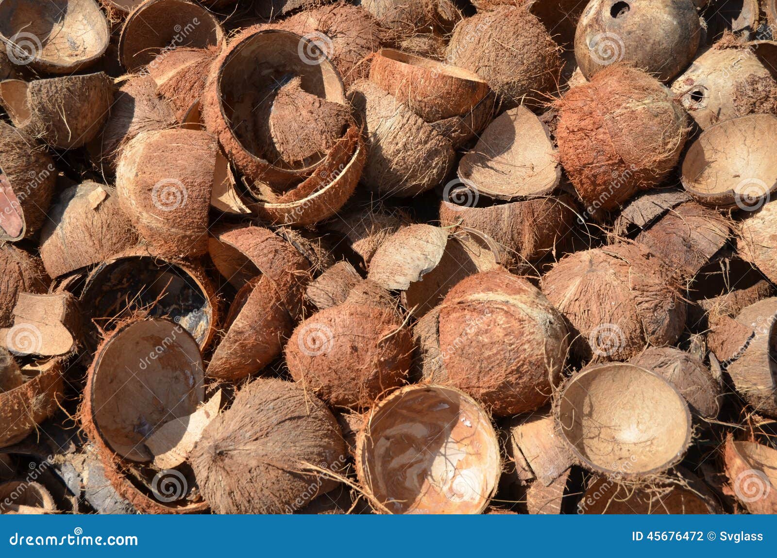 Coconut shells, background stock photo. Image of solid - 45676472