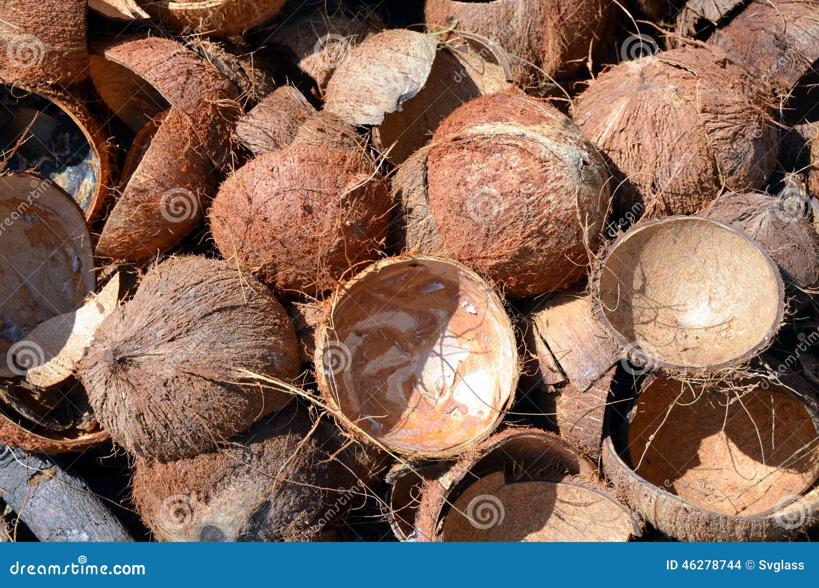 Coconut Shells Stock Image | CartoonDealer.com #17290621