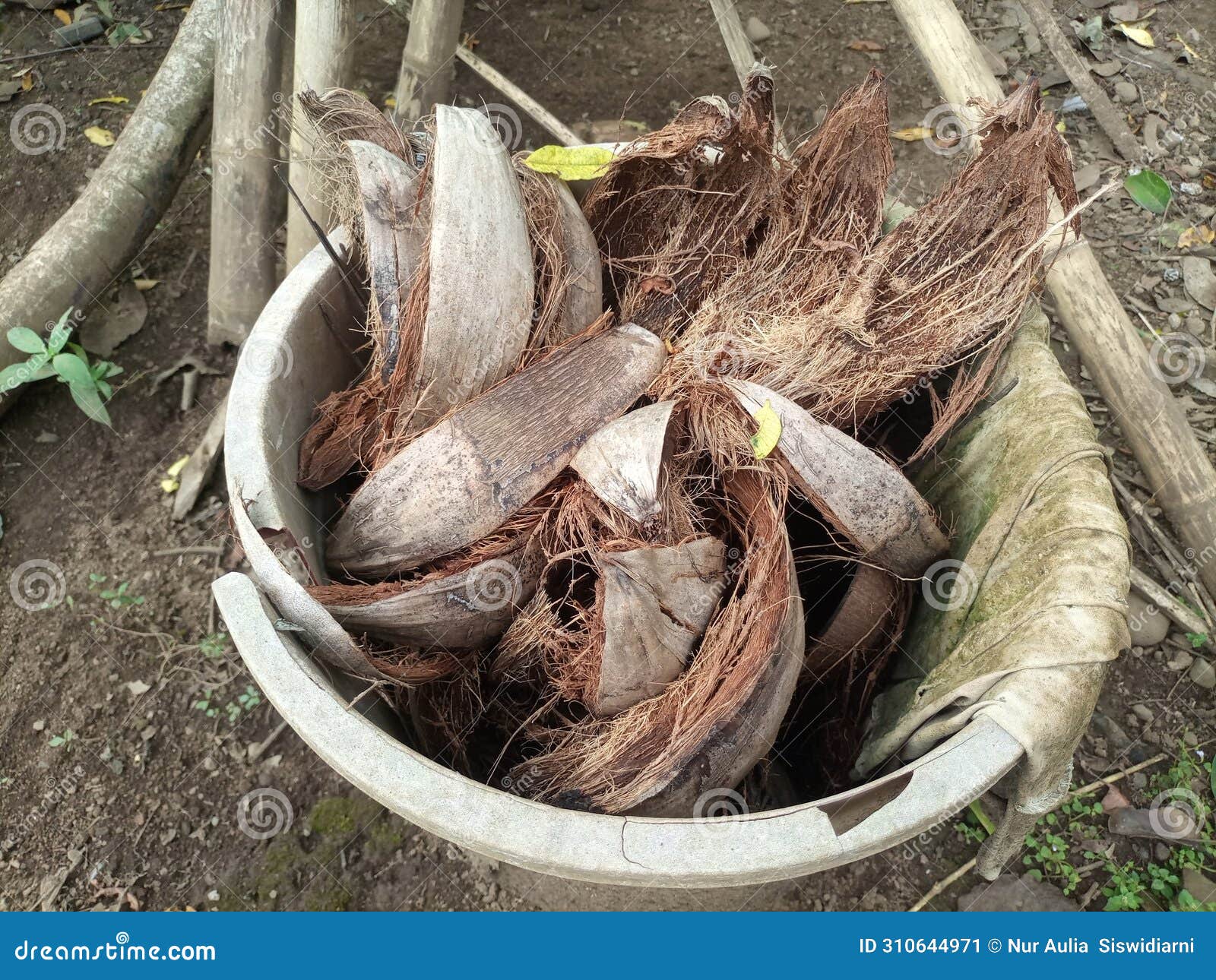 Coconut Shells or Coconut Fibers in a Bucket Stock Image - Image of ...