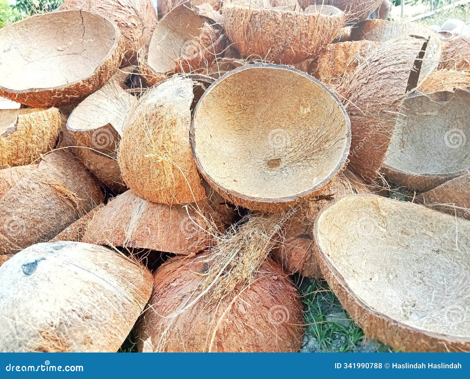 Coconut Shells are Solid Waste from Processed Coconuts Where the ...