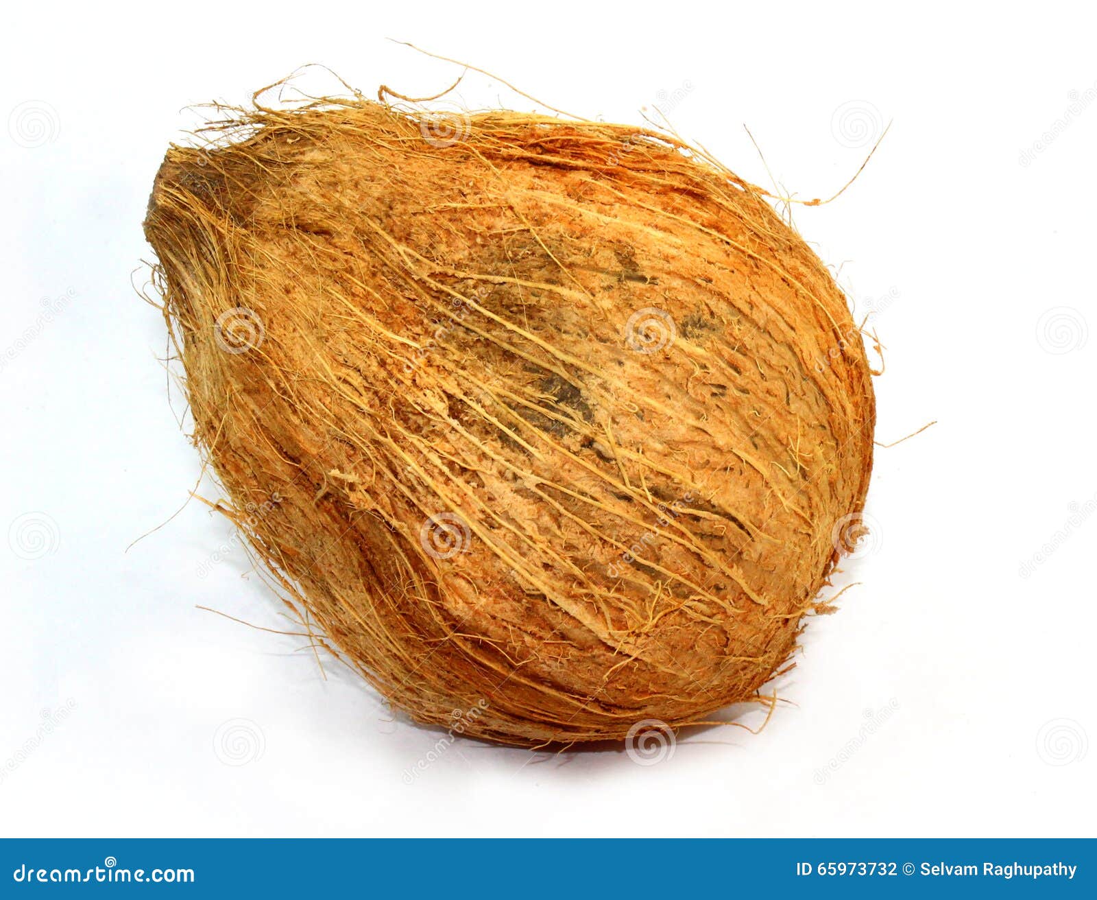 Coconut stock photo. Image of pealed, background, isolated - 65973732