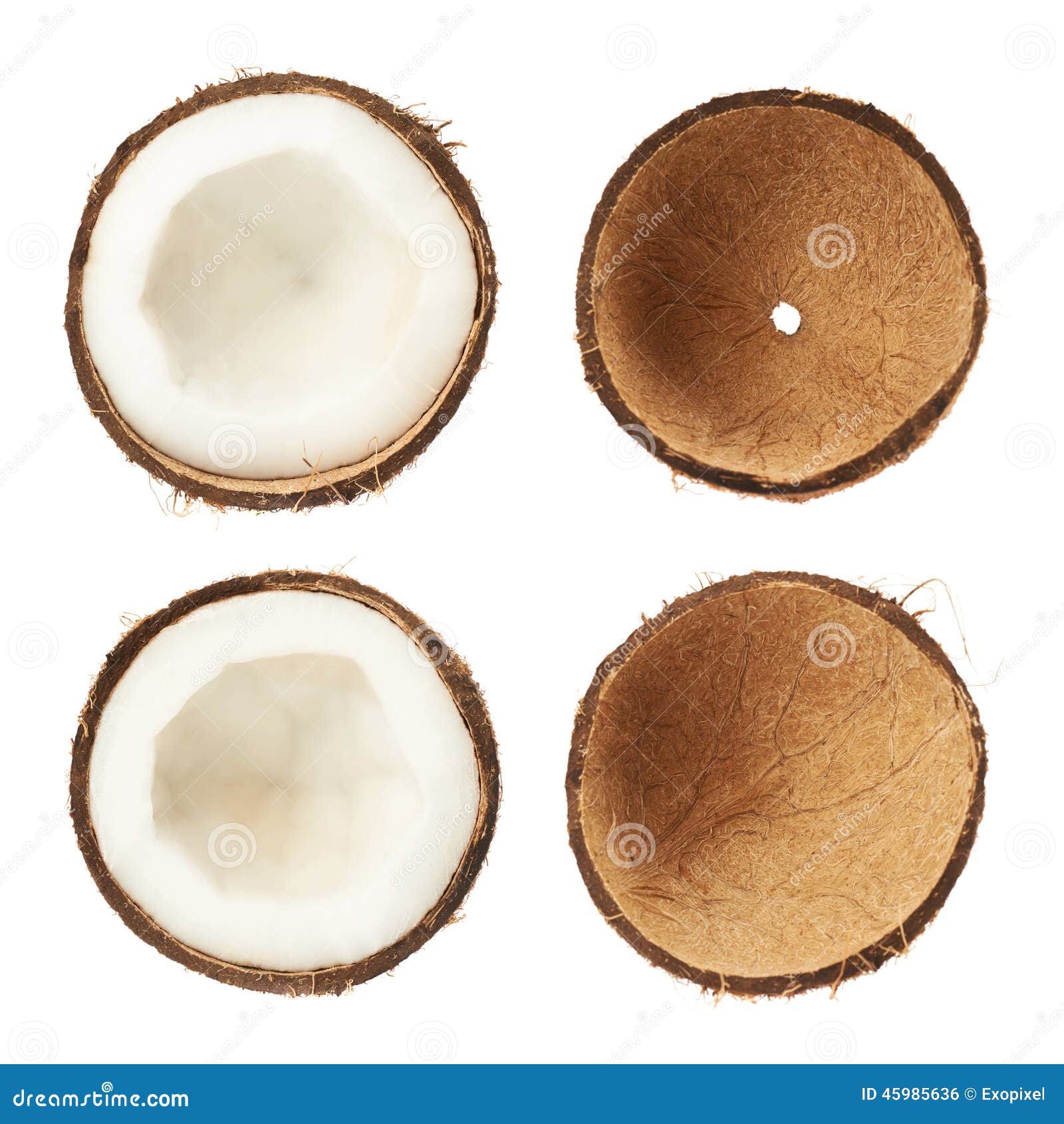 Coconut Sliced in Halves Isolated Stock Photo - Image of nutrition ...