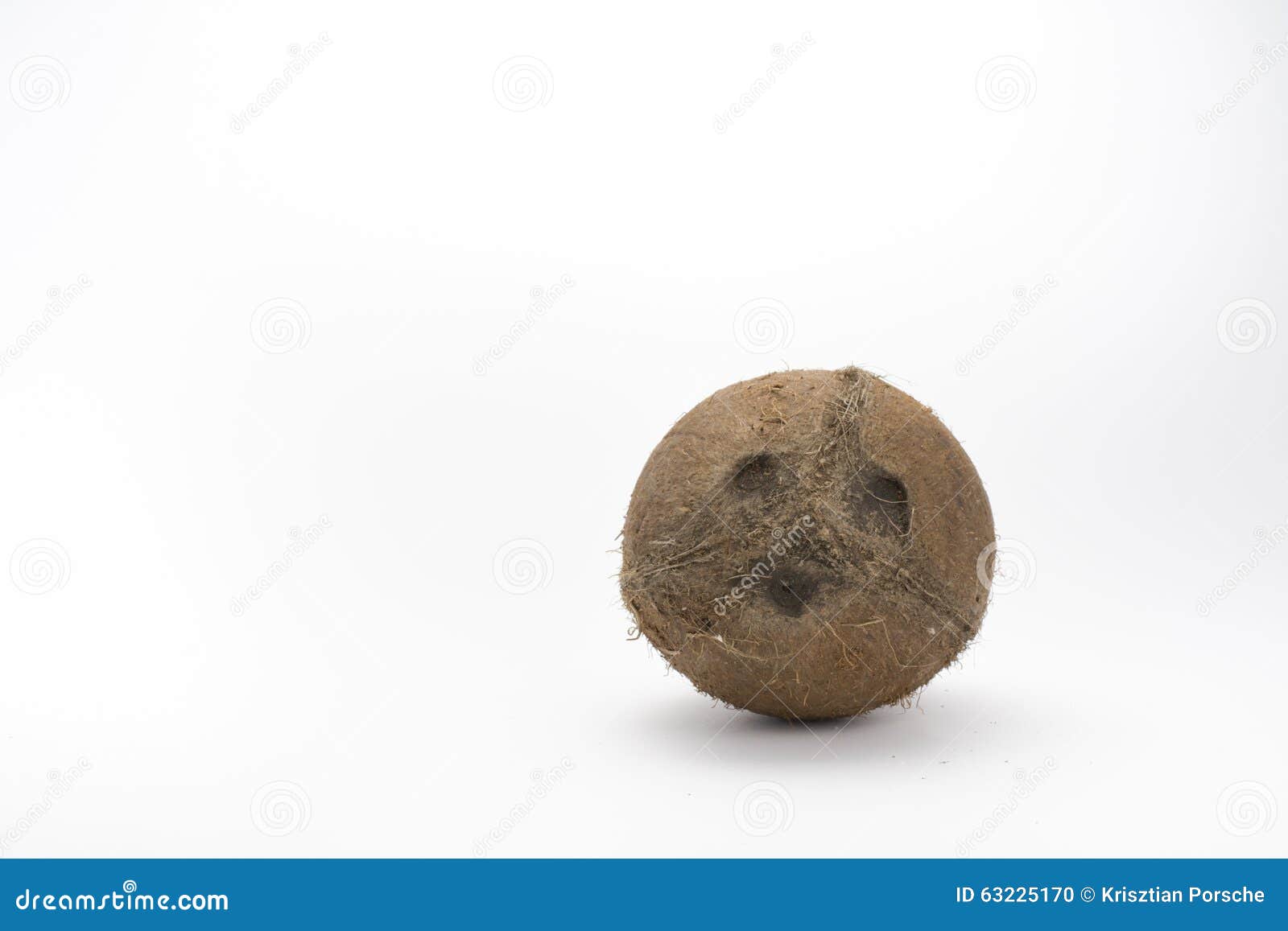 Coconut stock photo. Image of leaf, hard, vivid, sweet - 63225170