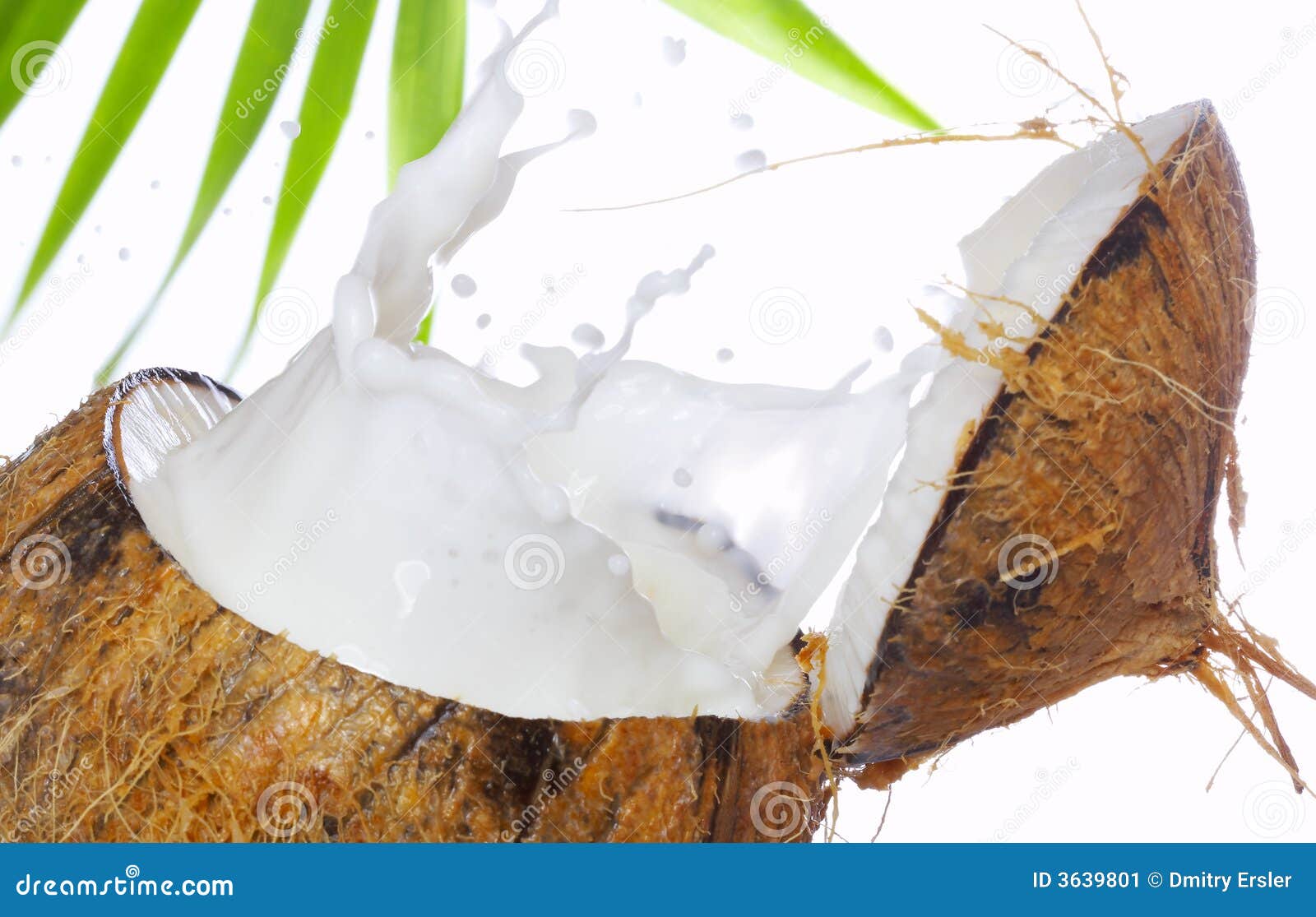 Coconut splash stock image. Image of delicious, fresh - 3639801