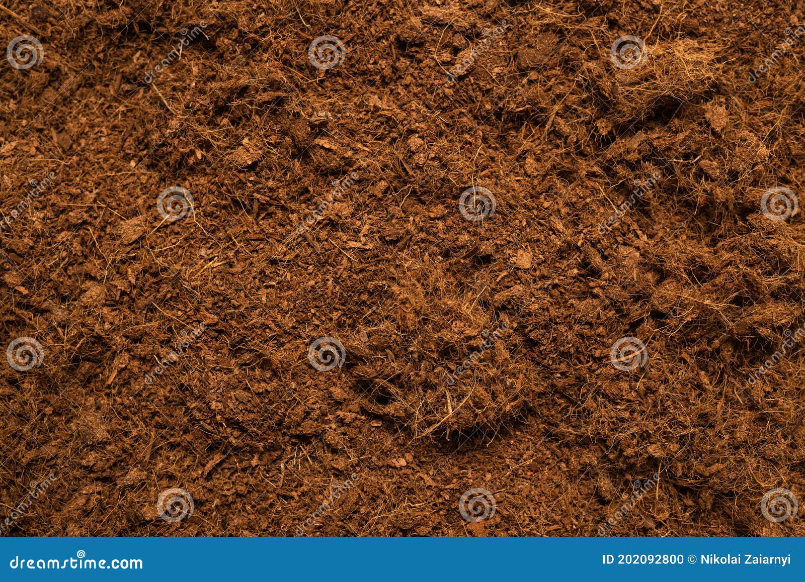 Coconut Substrate Background Stock Photo - Image of garden, growth ...