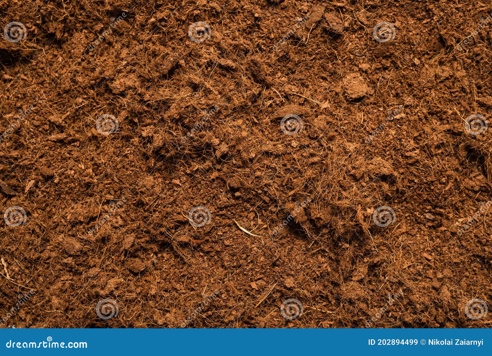 Coconut Substrate Background Stock Image - Image of gardening ...