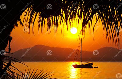 Coconut sunset stock photo. Image of bliss, afterglow - 1966372