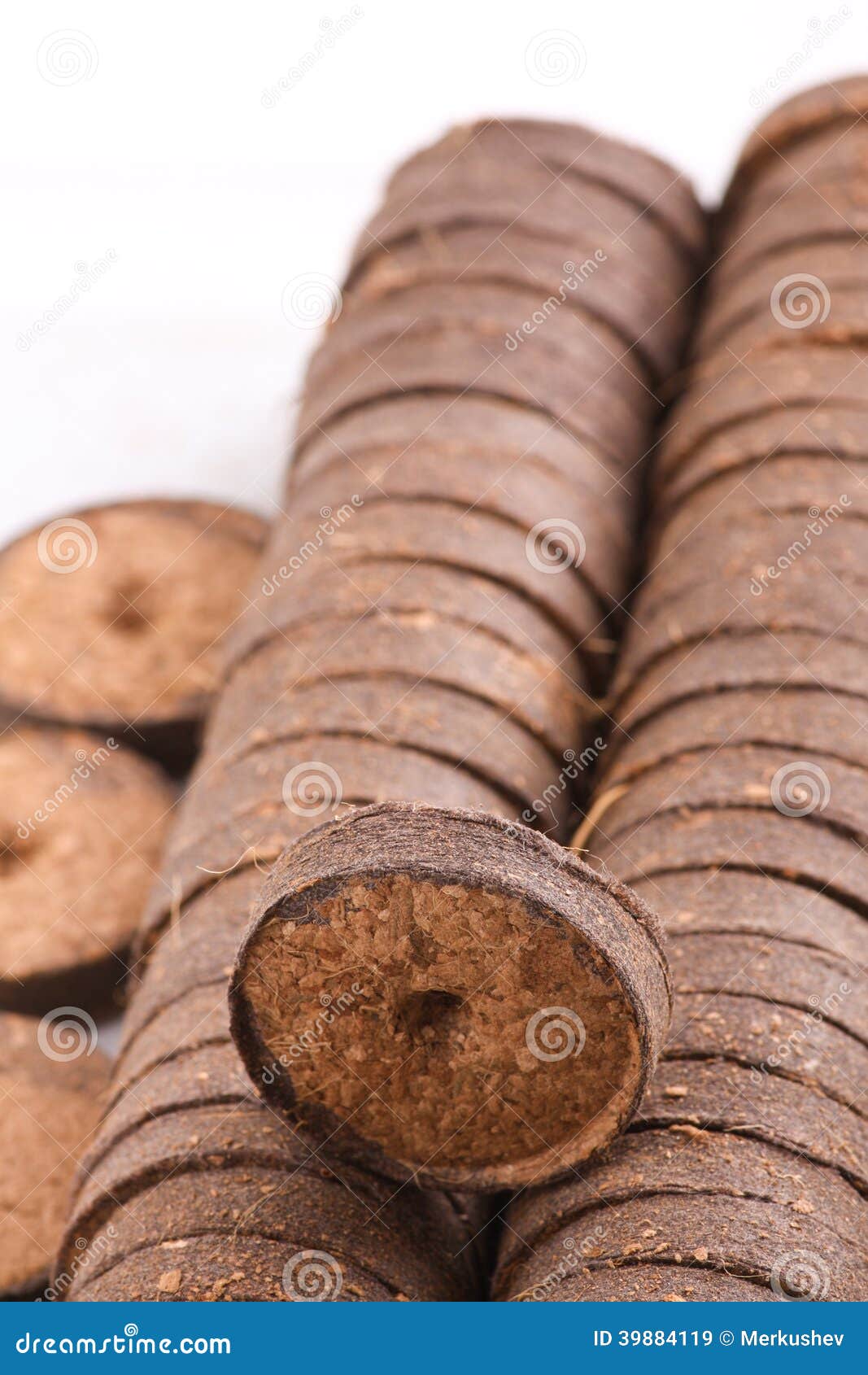 Coconut Tablets for Growing Stock Image - Image of peat, cultivated ...