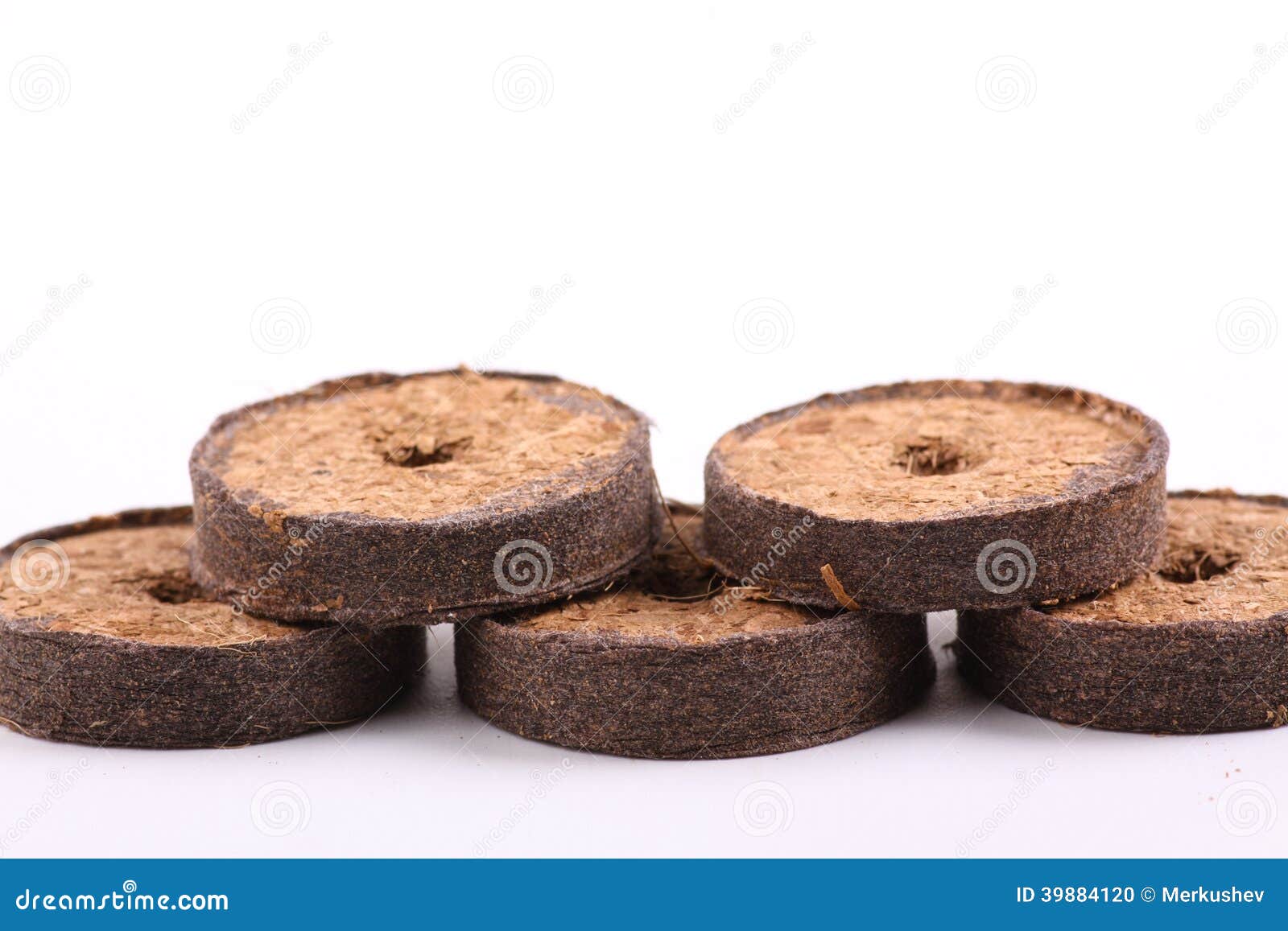Coconut Tablets for Growing Stock Photo - Image of briquettes, growth ...