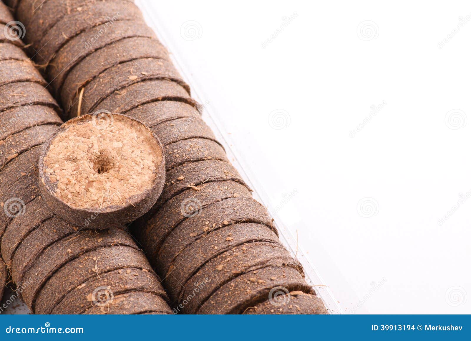 Coconut Tablets for Growing Stock Photo - Image of pile, gardening ...