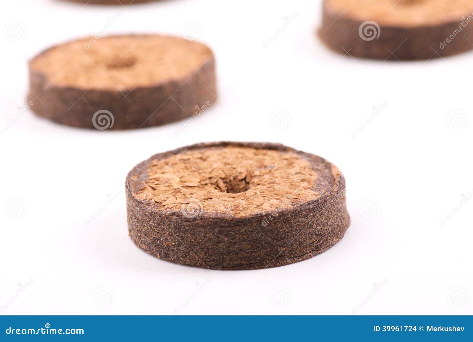 Coconut Tablets For Growing Stock Photo - Image of seedling, blocks ...