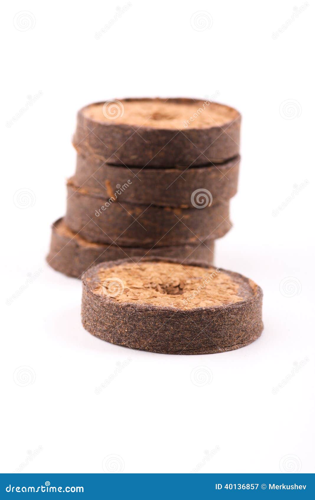 Coconut Tablets for Growing Stock Image - Image of tablets, seedling ...