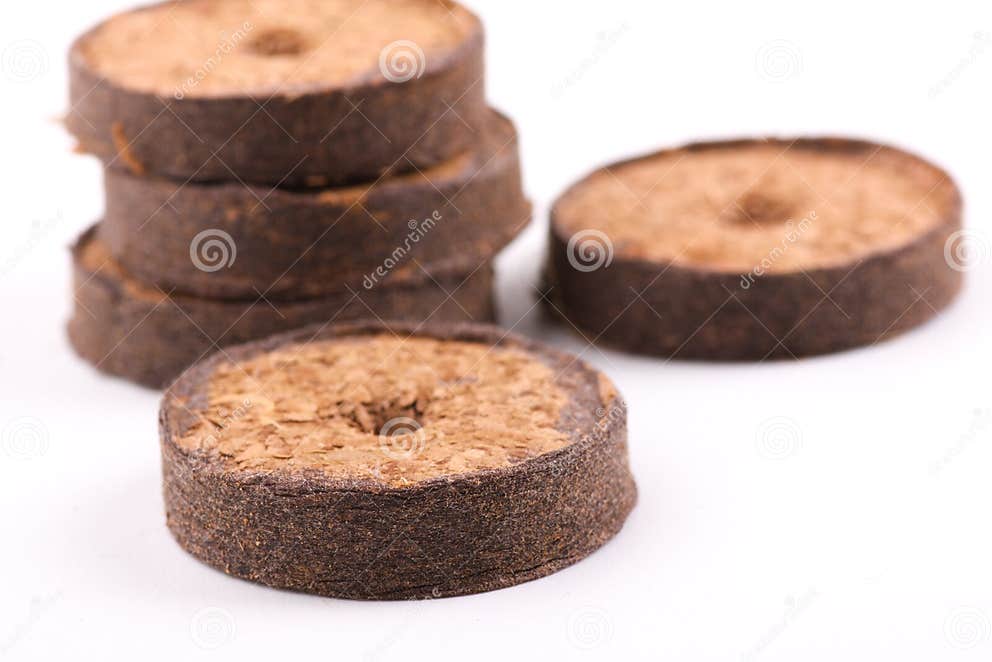 Coconut Tablets for Growing Stock Image - Image of cultivated, garden ...