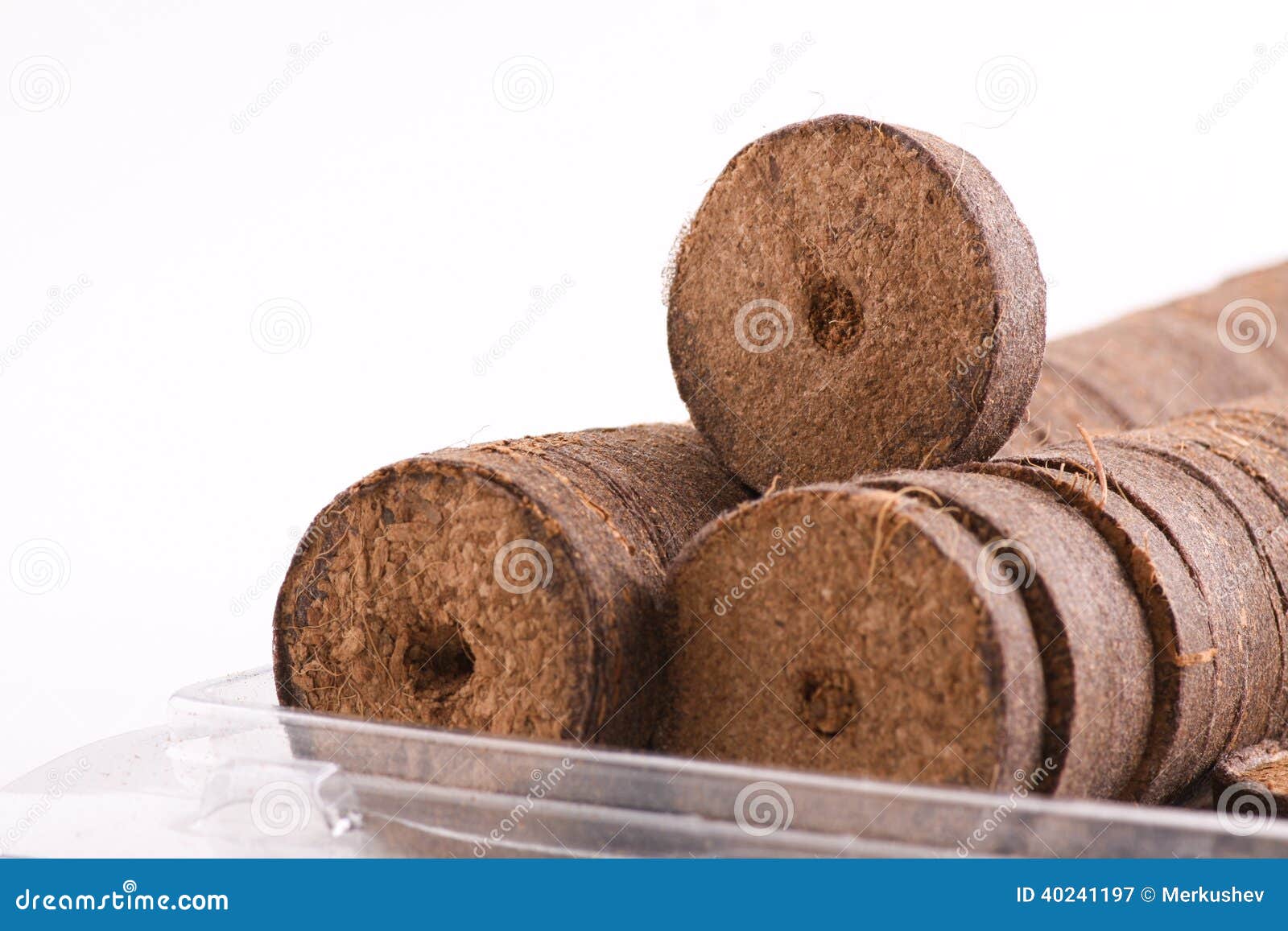 Coconut Tablets for Growing Stock Image - Image of tablet, isolated ...