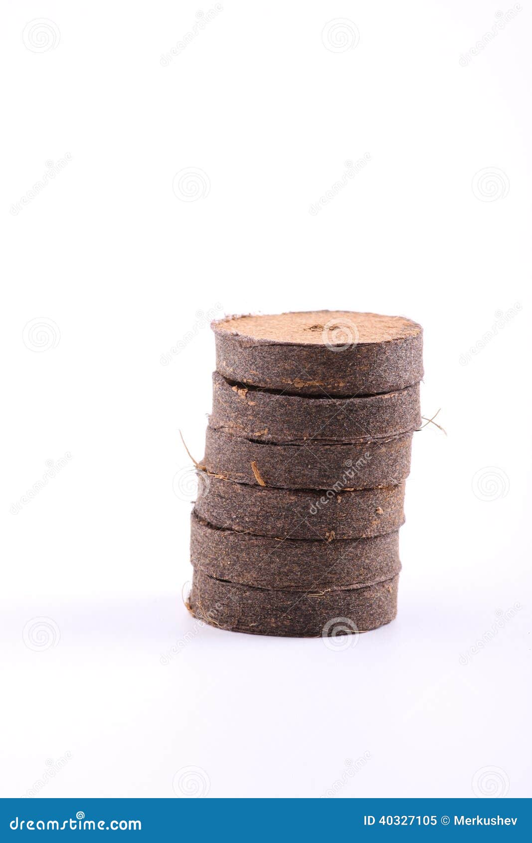 Coconut Tablets for Growing Stock Image - Image of brown, energy: 40327105