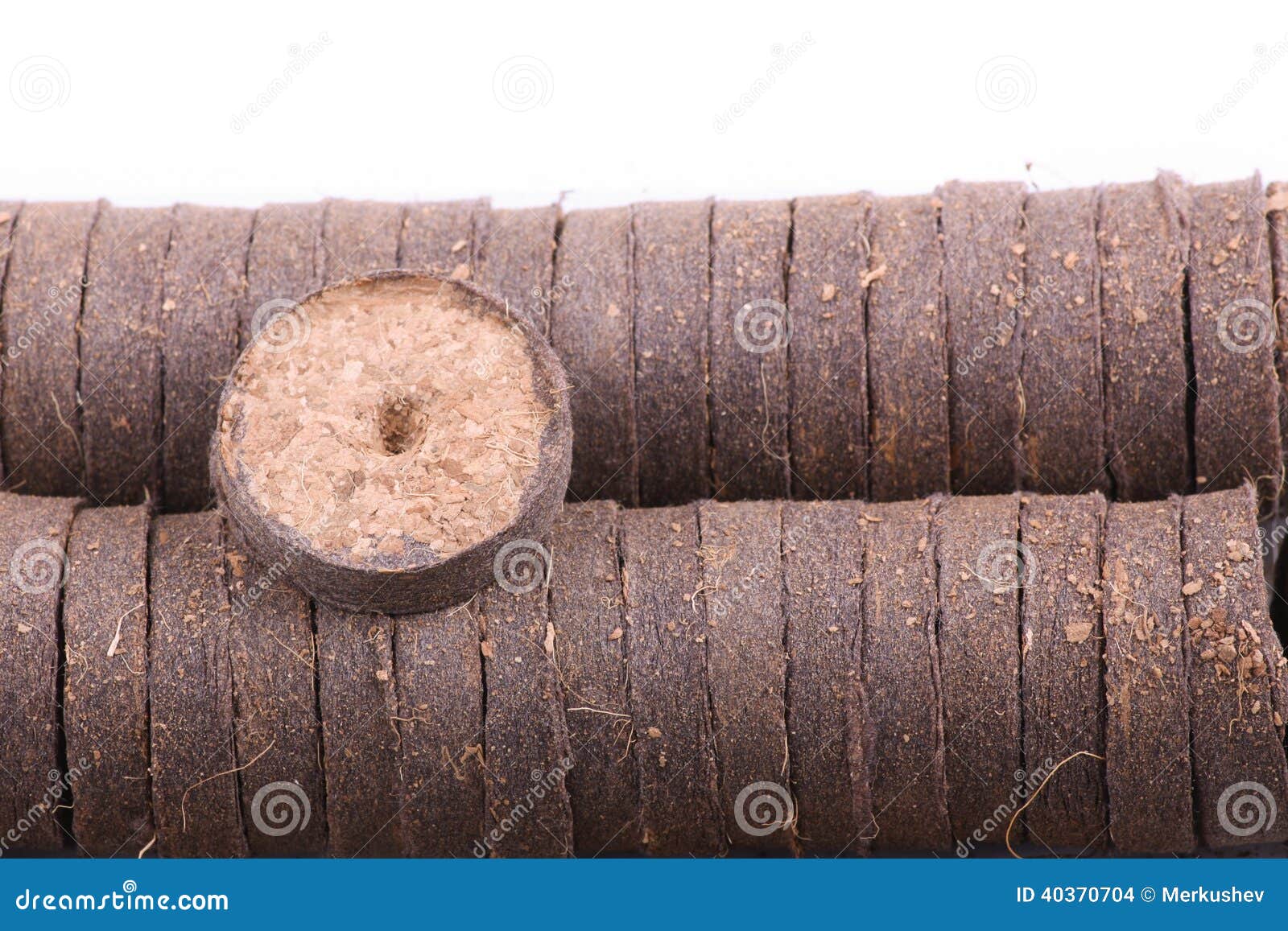 Coconut Tablets for Growing Stock Photo - Image of briquettes, blocks ...