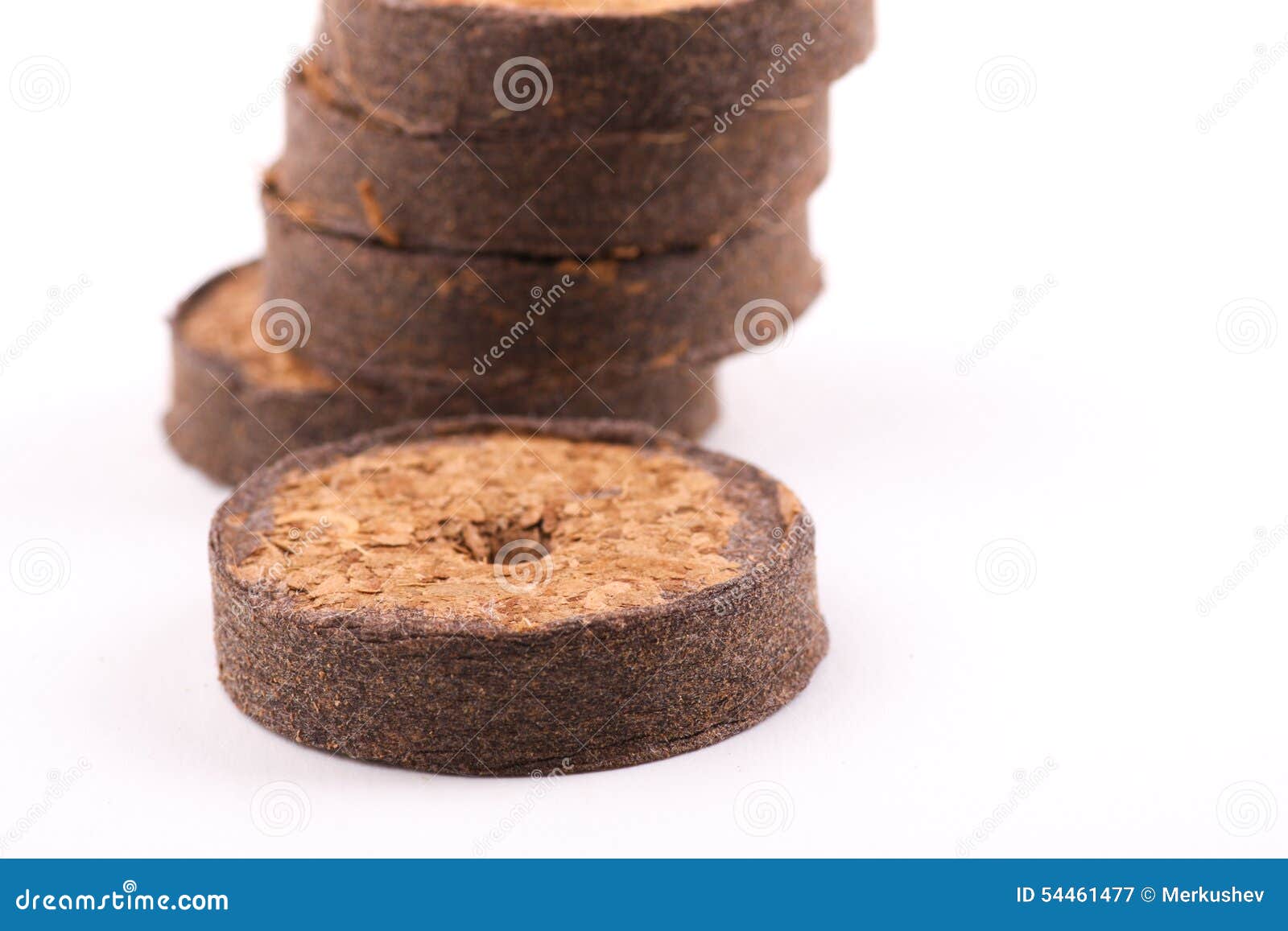 Coconut Tablets for Growing Stock Image - Image of peat, plant: 54461477