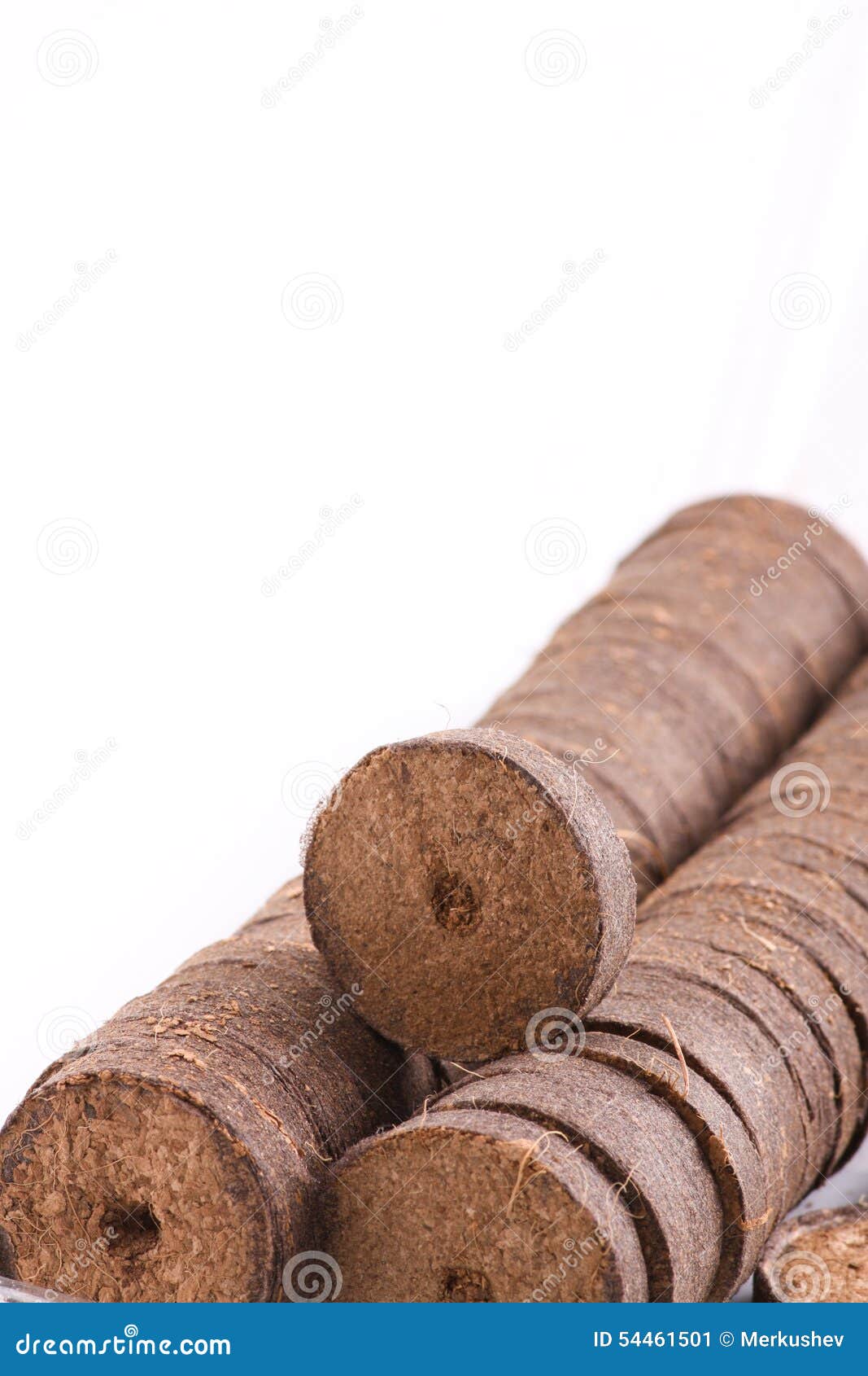 Coconut Tablets for Growing Stock Image - Image of cultivation ...