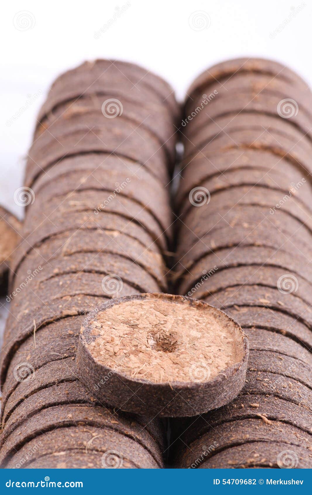 Coconut Tablets for Growing Stock Photo - Image of small, blocks: 54709682