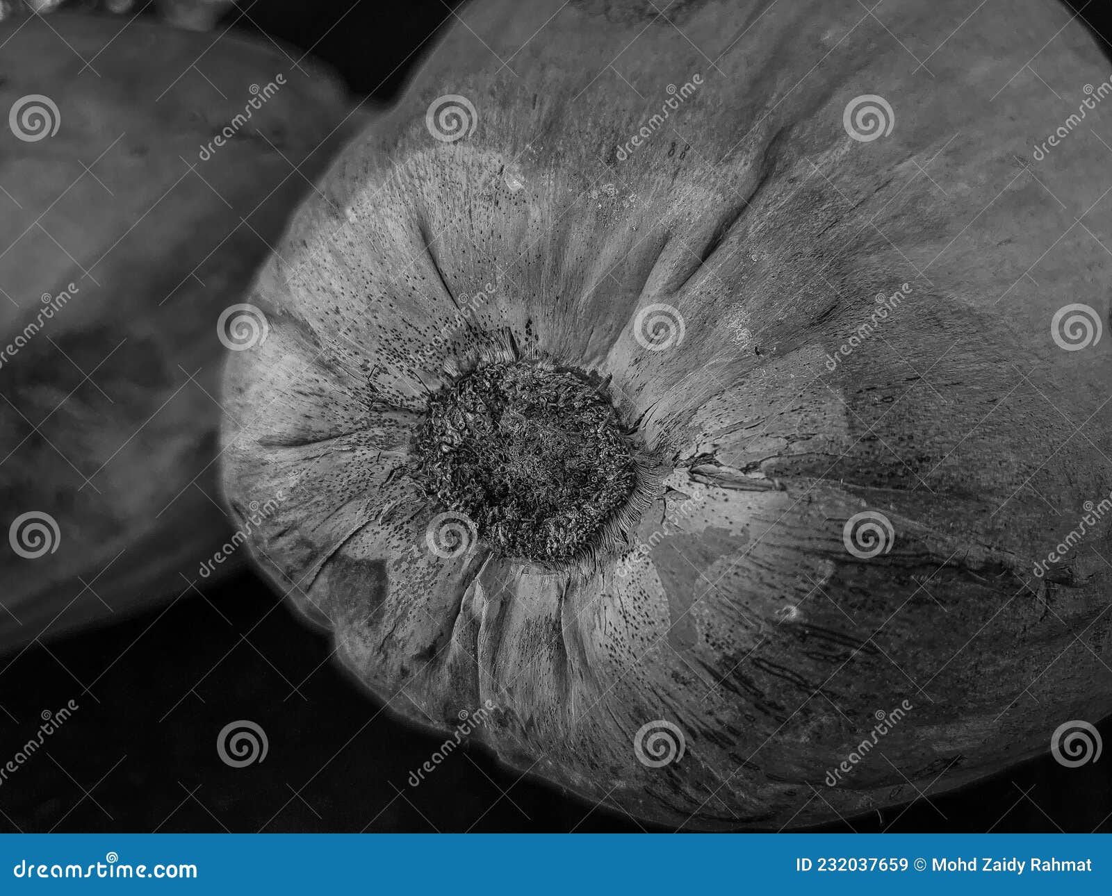 Coconut Texture On White Background - Creative Commons Attribution ...