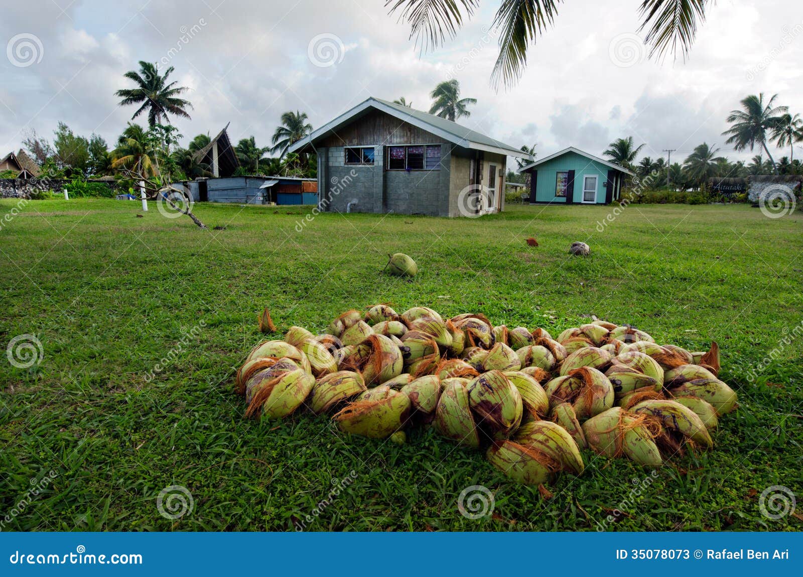 Coconut Tree in Aitutaki Lagoon Cook Islands Stock Image - Image of ...