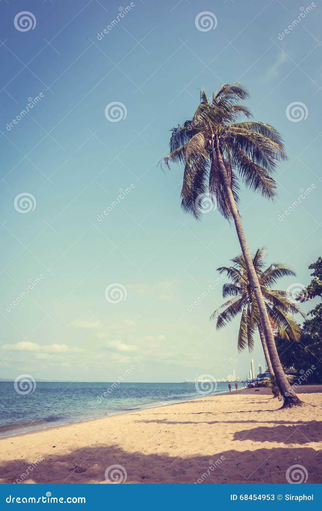 Coconut tree on the beach stock image. Image of water - 68454953