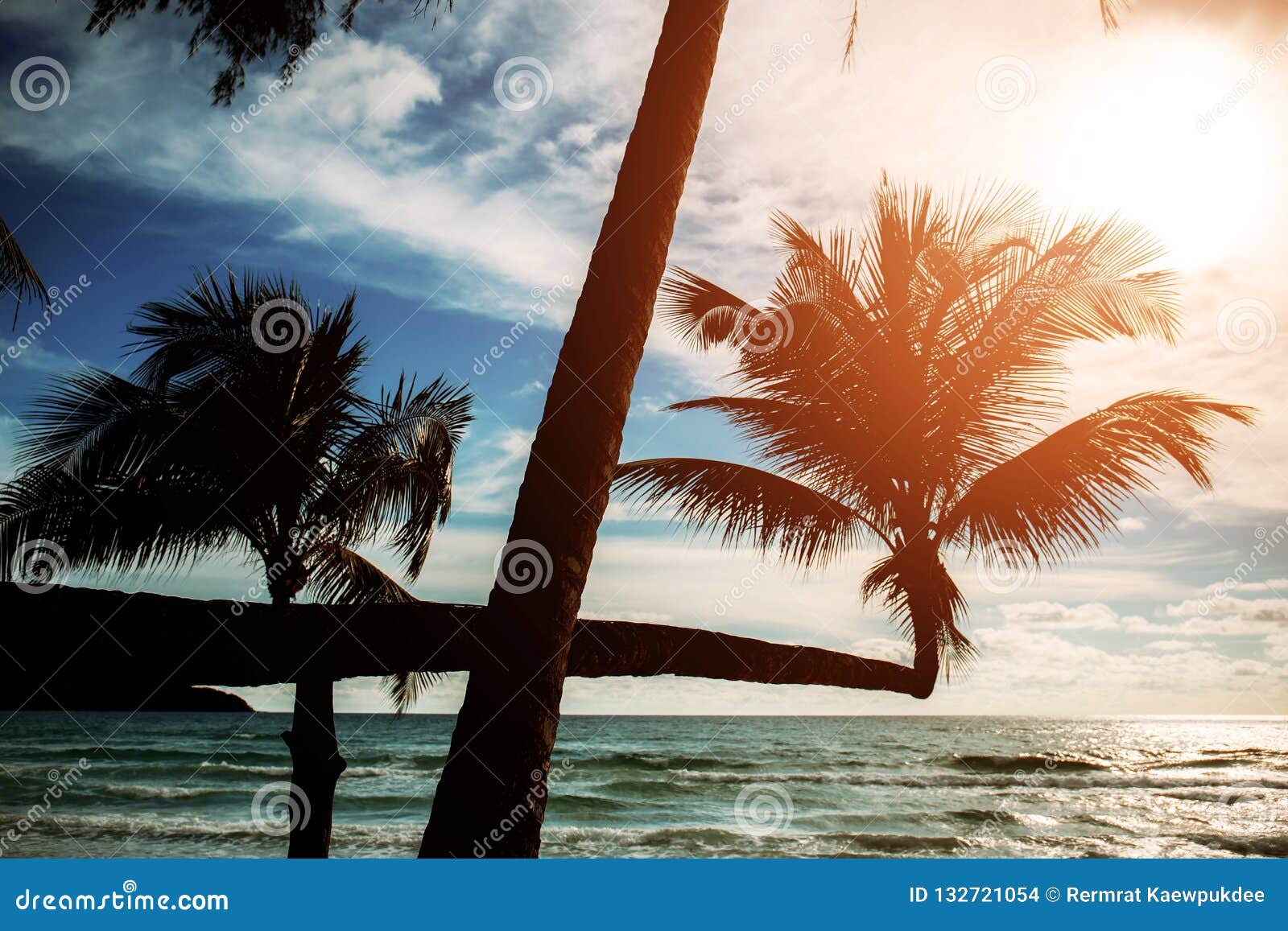 Coconut Tree on Beach at Sunset Stock Photo - Image of lagoon, season ...