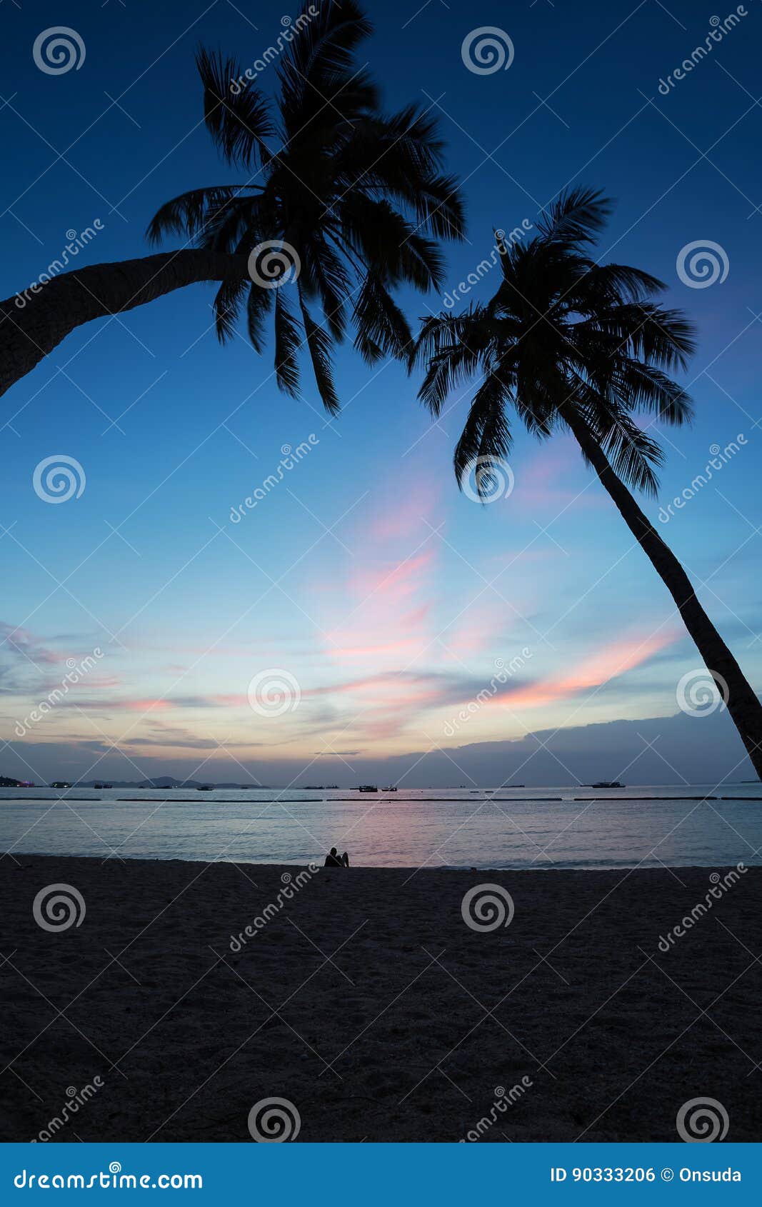 Coconut Tree on the Beach after Sunset Stock Photo - Image of sunset ...