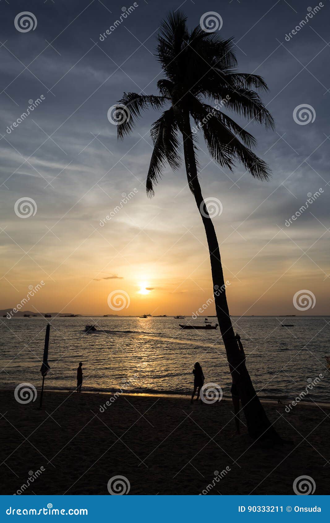 Coconut Tree on the Beach at Sunset Stock Image - Image of sunset ...