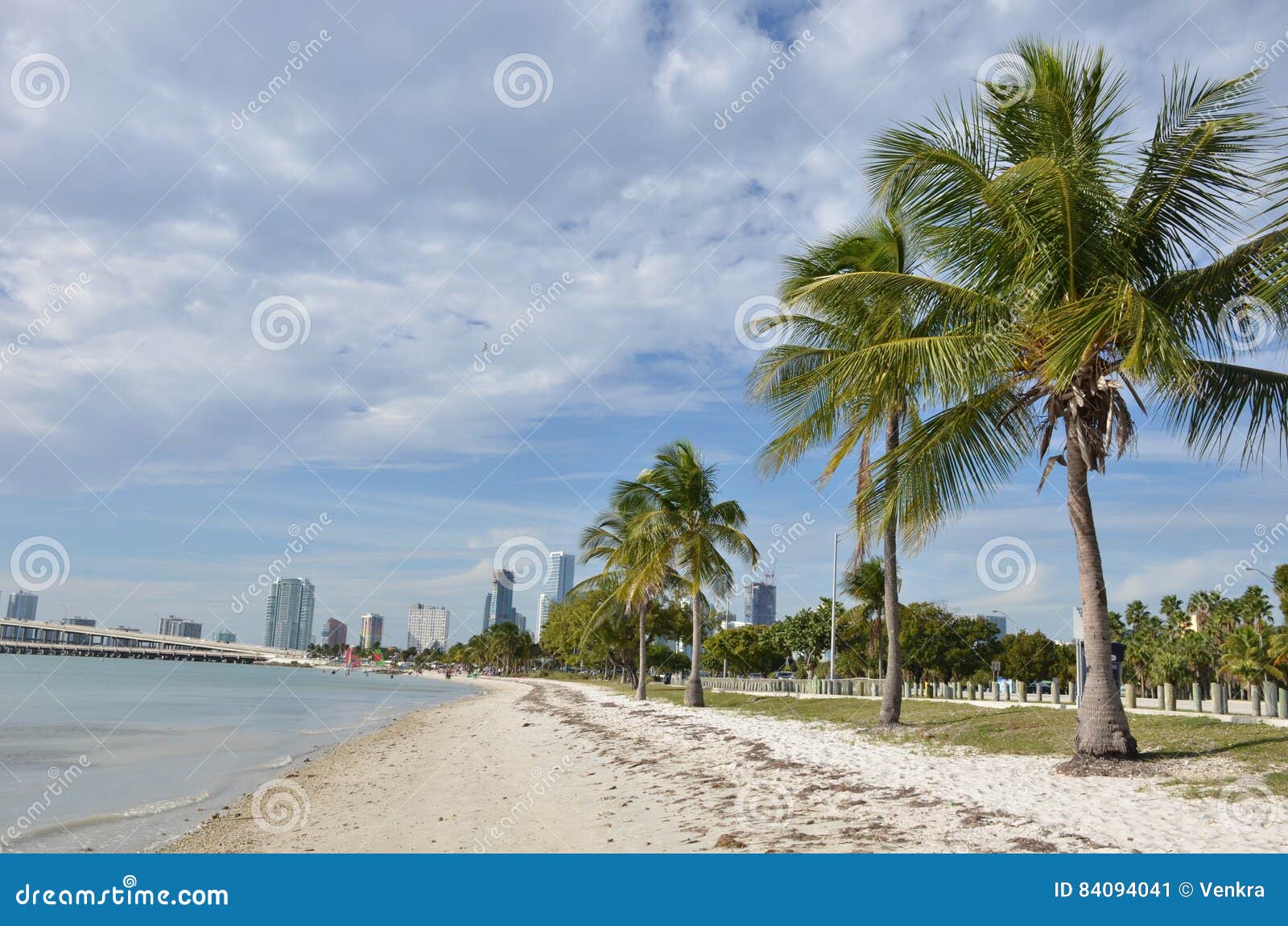 Coconut tree on the beach stock image. Image of skyline - 84094041