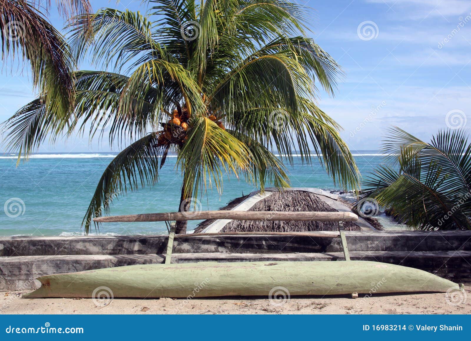 Coconut tree and boat stock photo. Image of landscape - 16983214