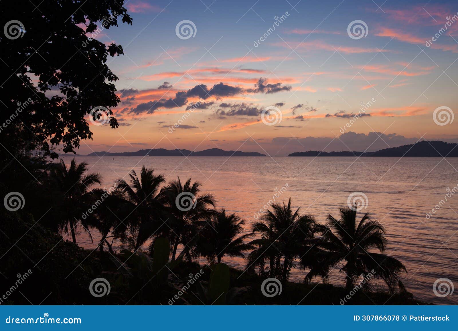 Coconut Trees on Beach at Sunset Stock Photo - Image of panoramic ...