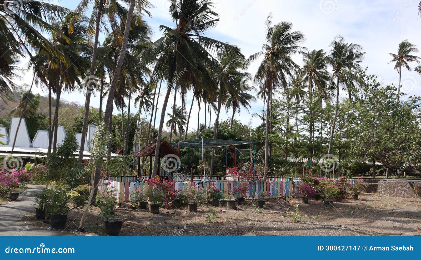 Coconut Tree in the Garden. Garden on a Hill by the Sea. Blue Sea Beach ...