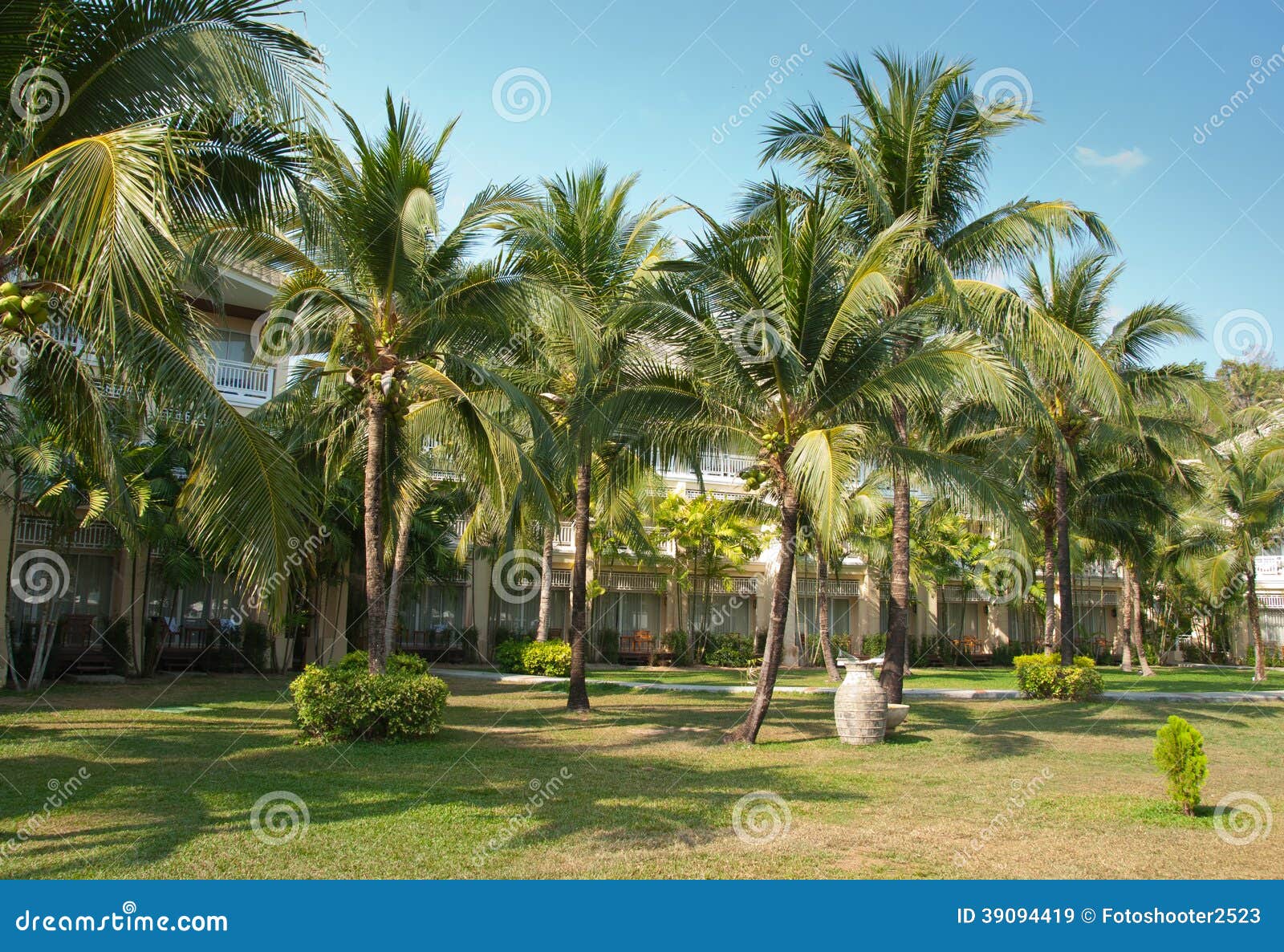 Coconut Tree and Garden in Thailand Stock Image - Image of beauty ...