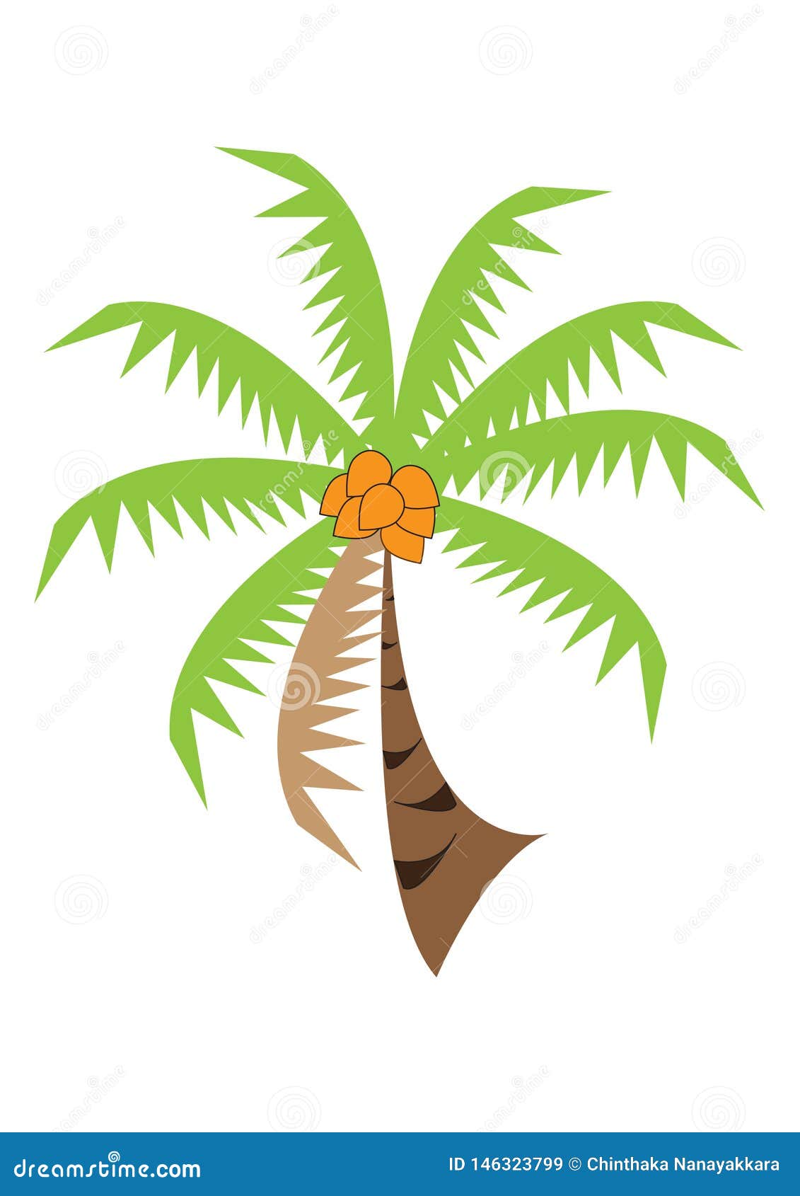 Coconut Palm Tree Green Leaves Dried Stock Vector - Illustration of ...