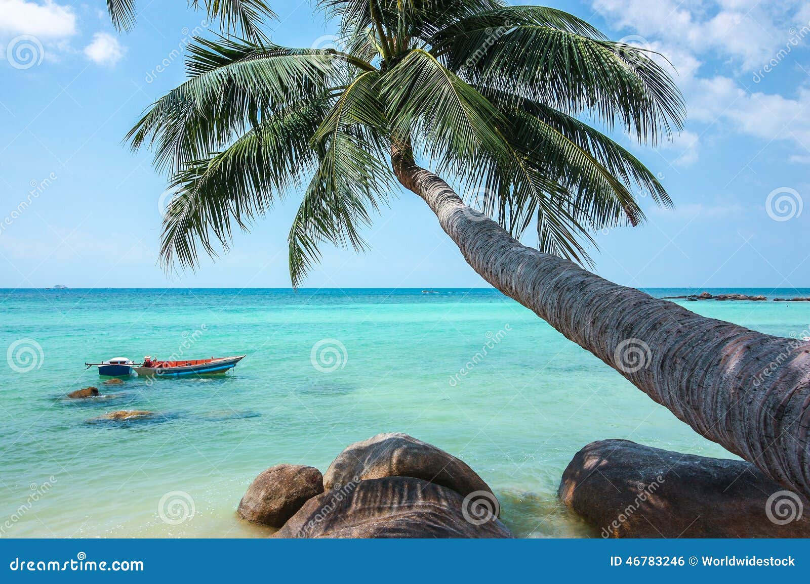 Tree Hanging Over The Back River At Cox Point Park In Essex, Mar Stock ...
