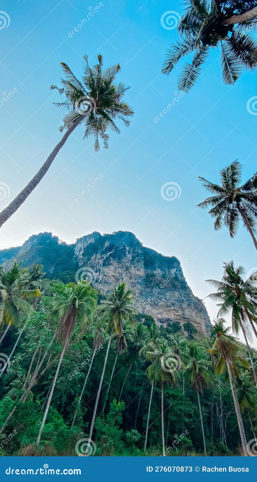 Coconut Trees on the Island in the Evening Stock Image - Image of ...